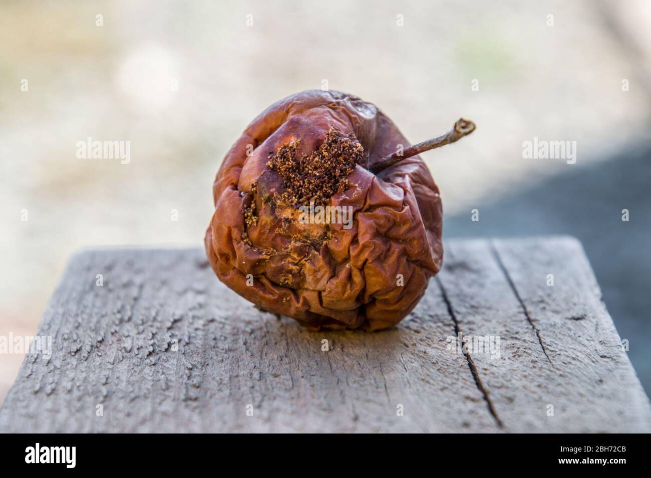 Rotten apple on the bench. Defeat apples. Spoiled crop Stock Photo - Alamy