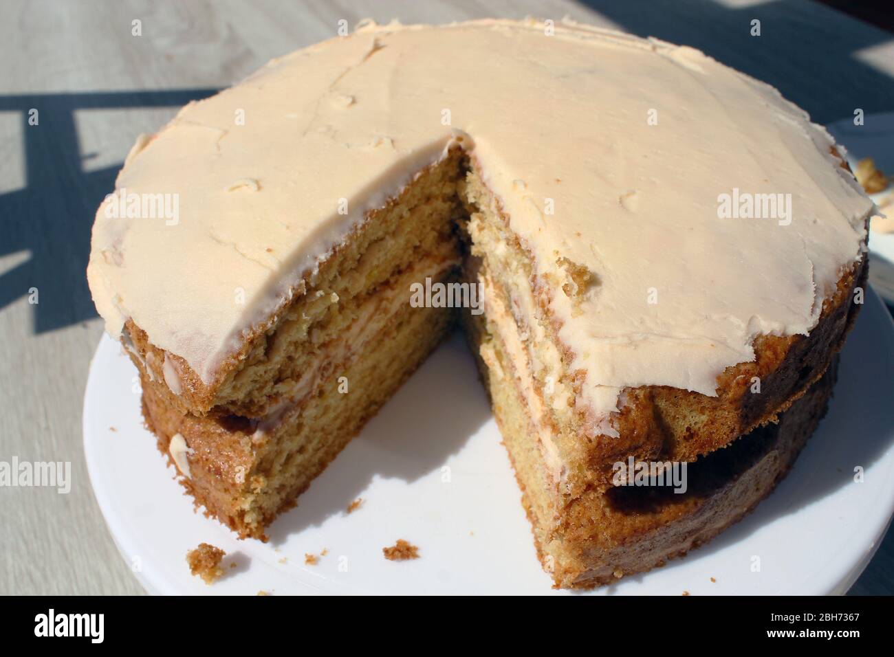 Sponge layers hi-res stock photography and images - Alamy
