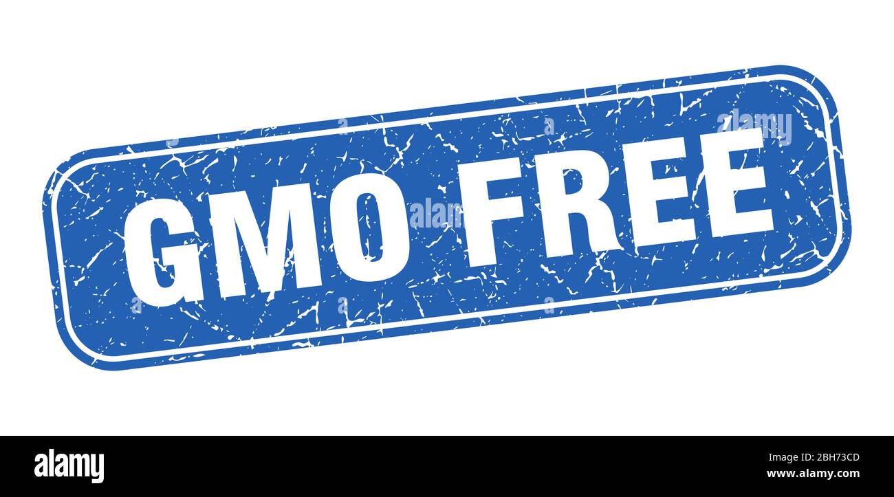 gmo free stamp. gmo free square grungy blue sign Stock Vector Image ...