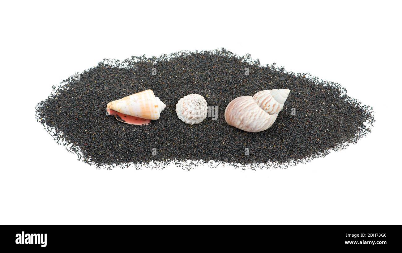 Volcanic ocean sand with shells isolated on white background Stock ...
