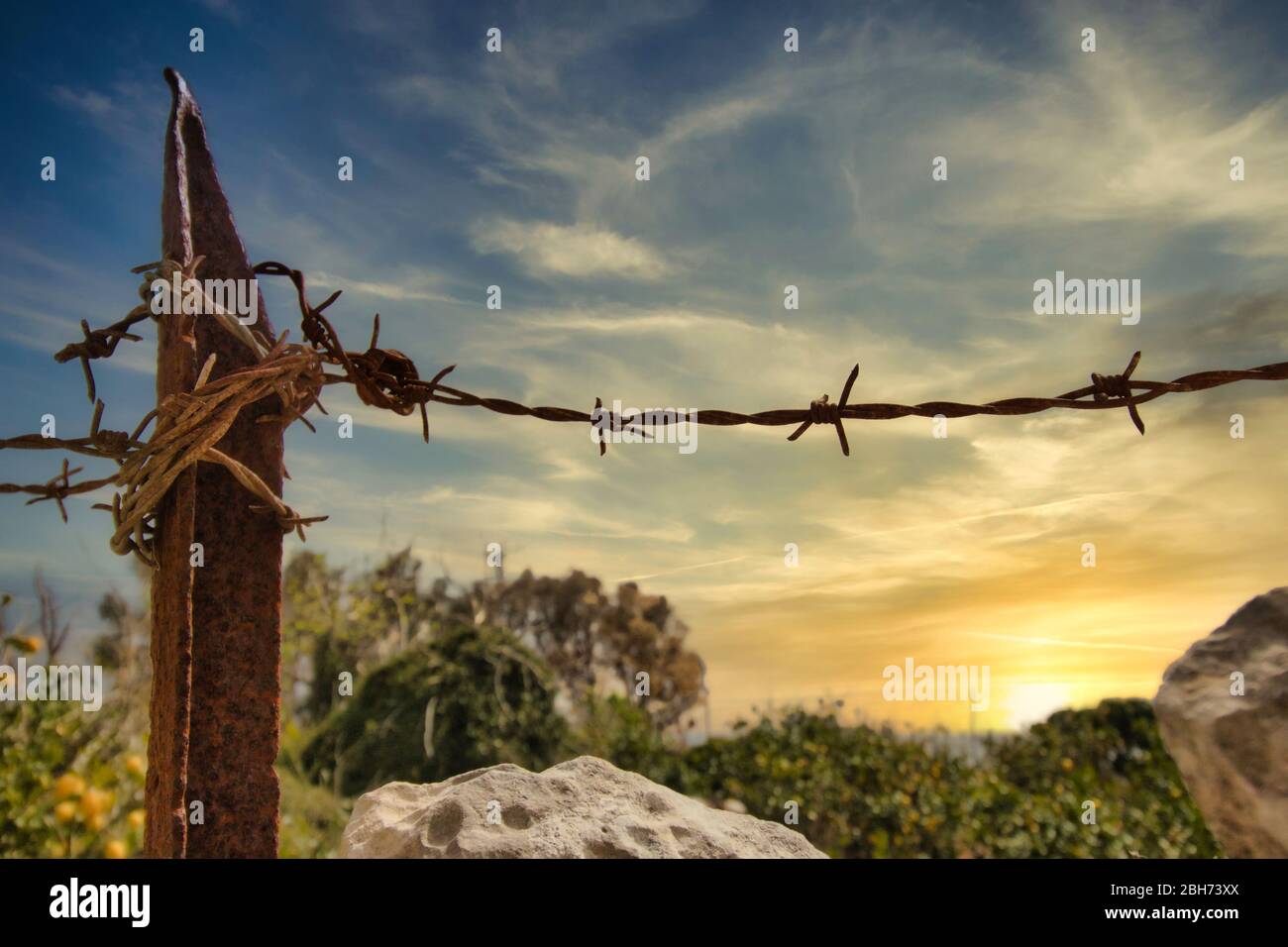 Barbed wire and rusty metal fence post in a field Stock Photo - Alamy