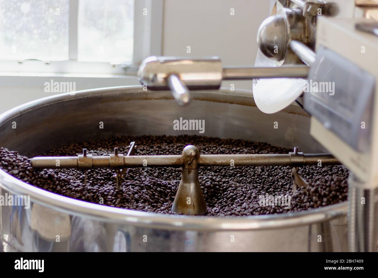 Fresh coffee beans in Coffee roaster professional machine at factory ...