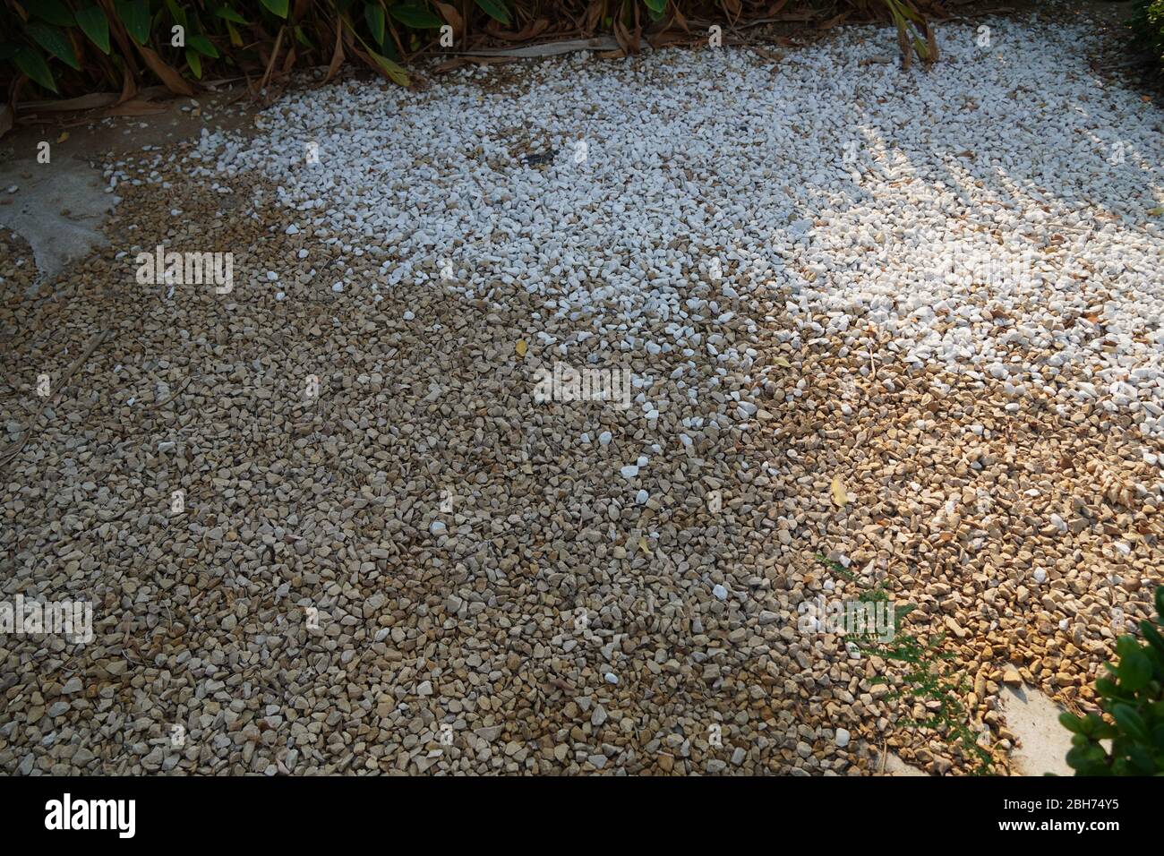 Brown and White pebble stone texture for background. The texture of ...