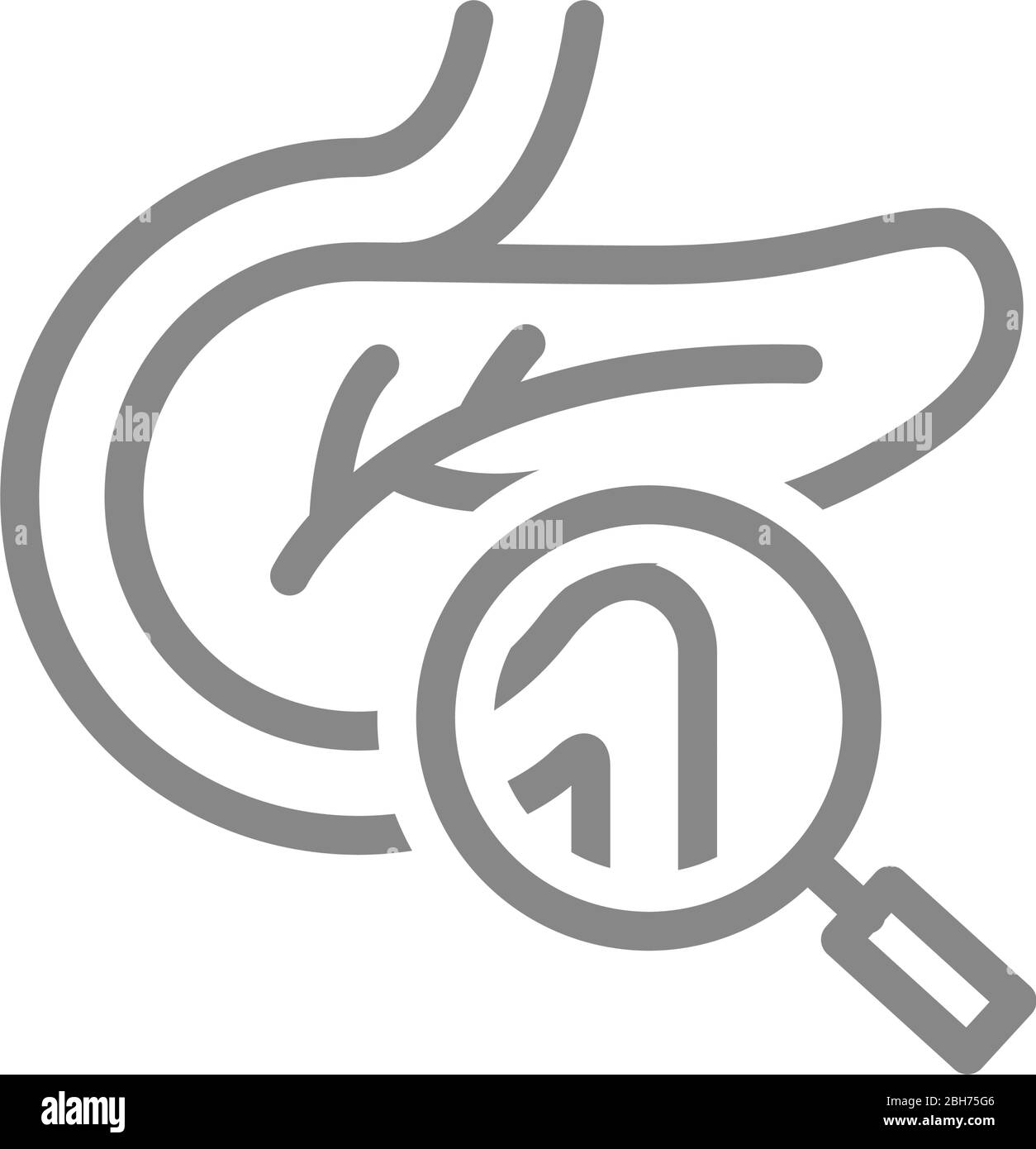 Pancreas with magnifying glass line icon. Human organ research, disease ...