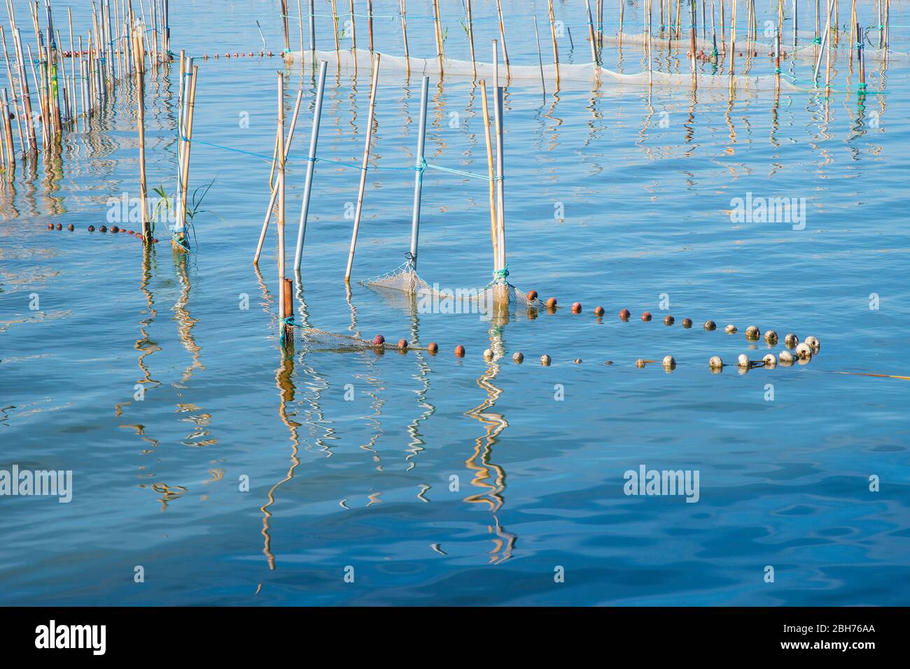 Fishing nets in water Stock Photo - Alamy