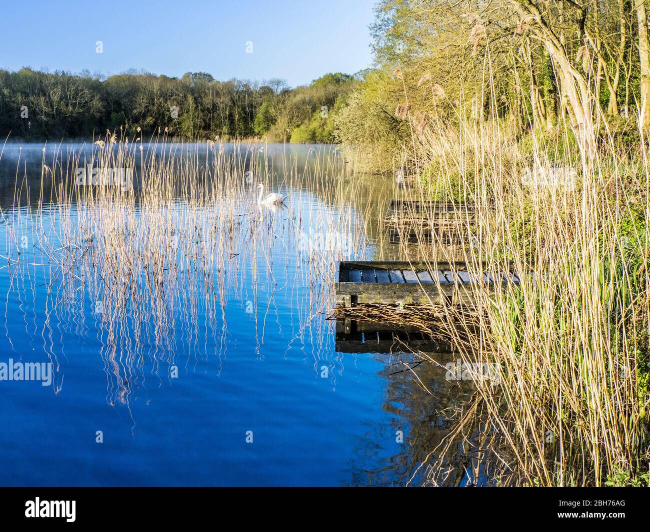 Fishing pontoons at Coate Water in Swindon Stock Photo - Alamy