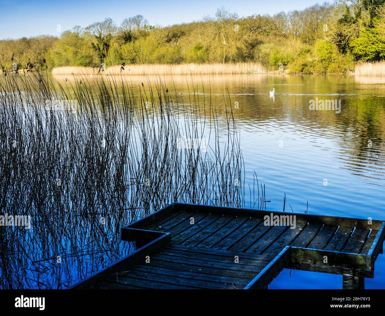 Pontoon by lake hi-res stock photography and images - Alamy