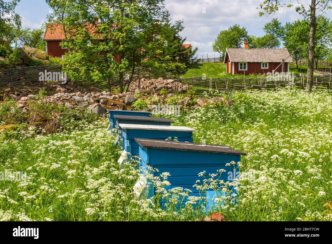 Building a beehive in garden hi-res stock photography and images - Alamy