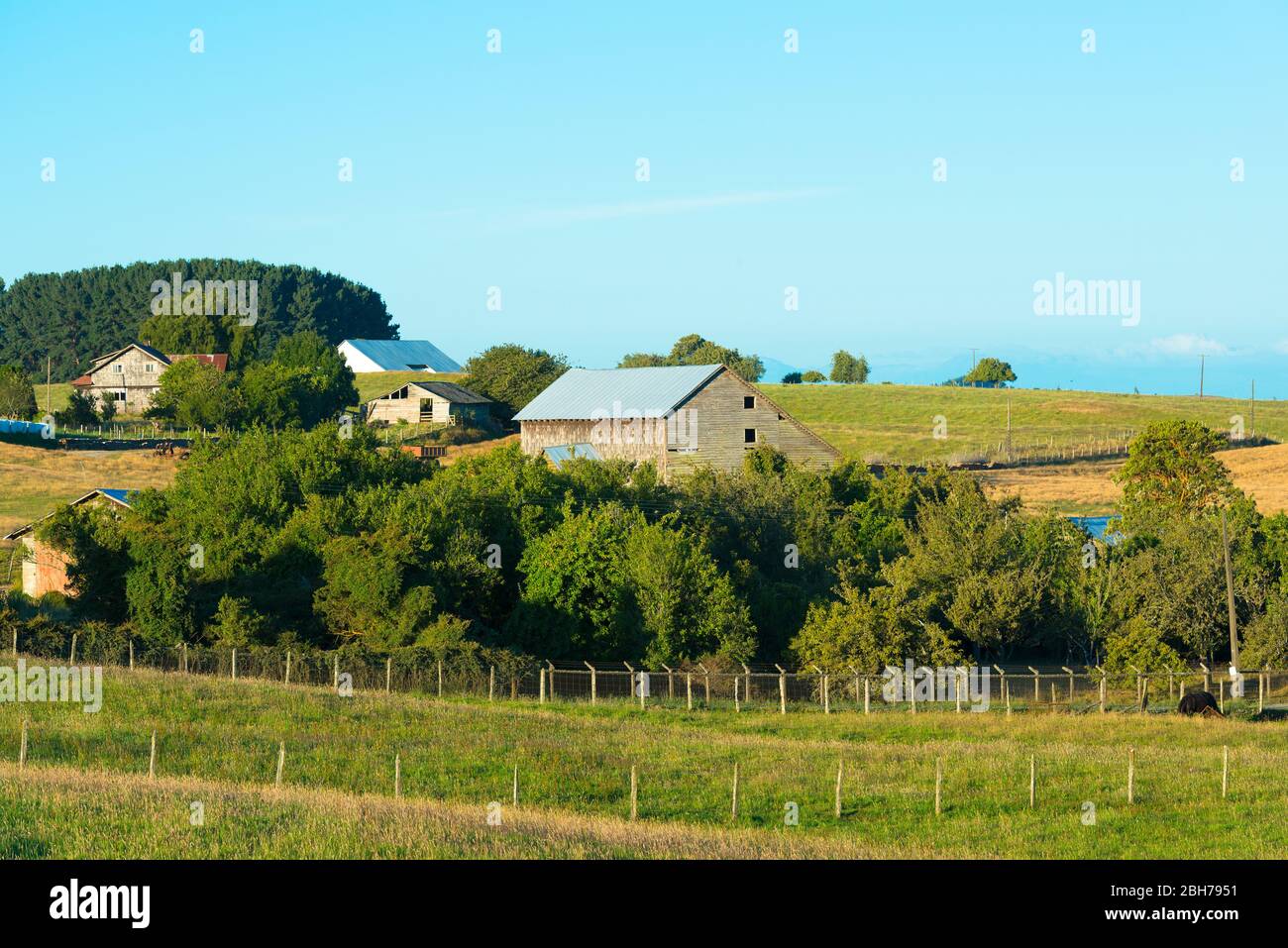 Farms in southern Chile at the shores of Lake Llanquihue, X Region de ...