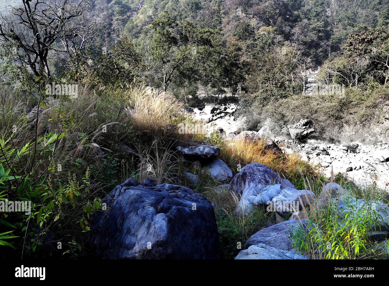 Uttarakhand scenery hi-res stock photography and images - Alamy
