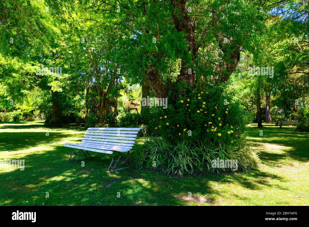 Shadow under a tree hi-res stock photography and images - Alamy