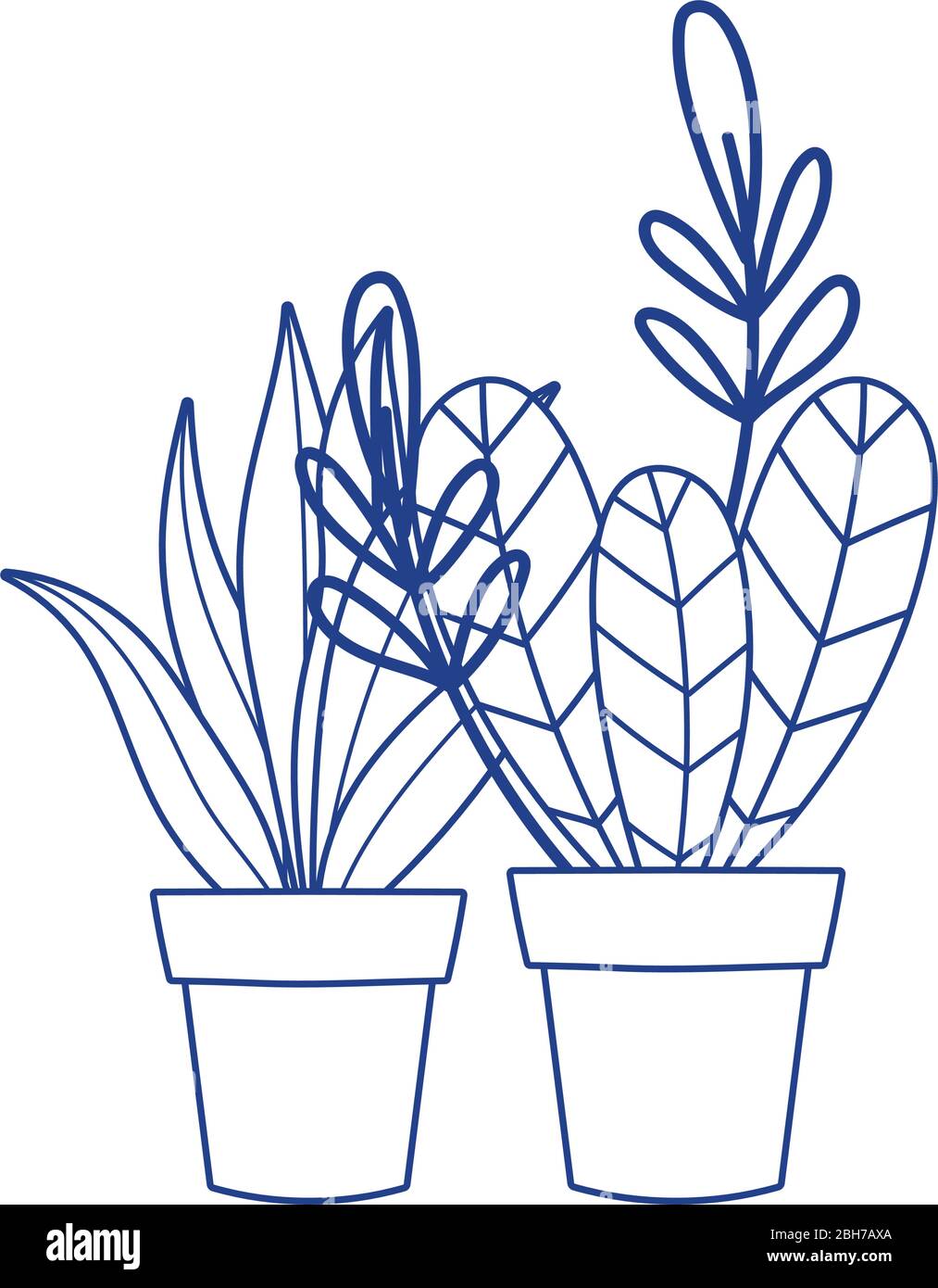 Plants inside pots design of Floral nature garden ornament botany ...