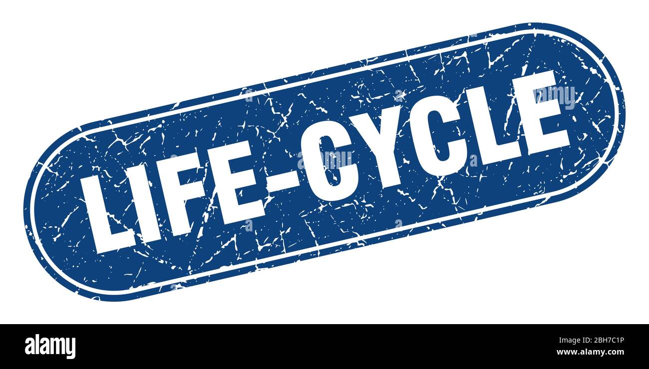 life-cycle sign. life-cycle grunge blue stamp. Label Stock Vector Image ...