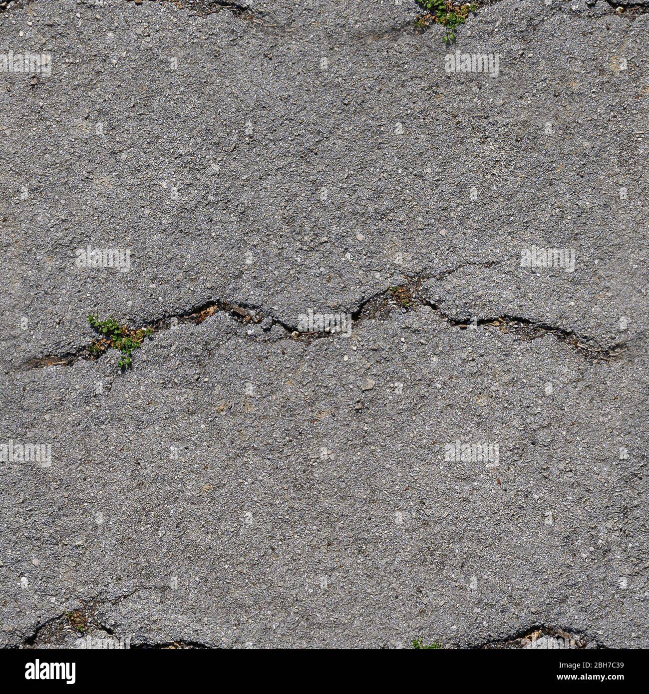 Cracked Road Texture Seamless