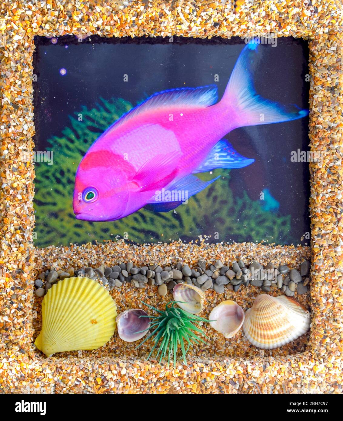 Picture fish hi-res stock photography and images - Alamy