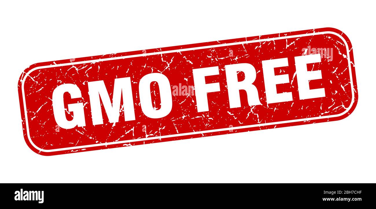 gmo free stamp. gmo free square grungy red sign Stock Vector Image ...