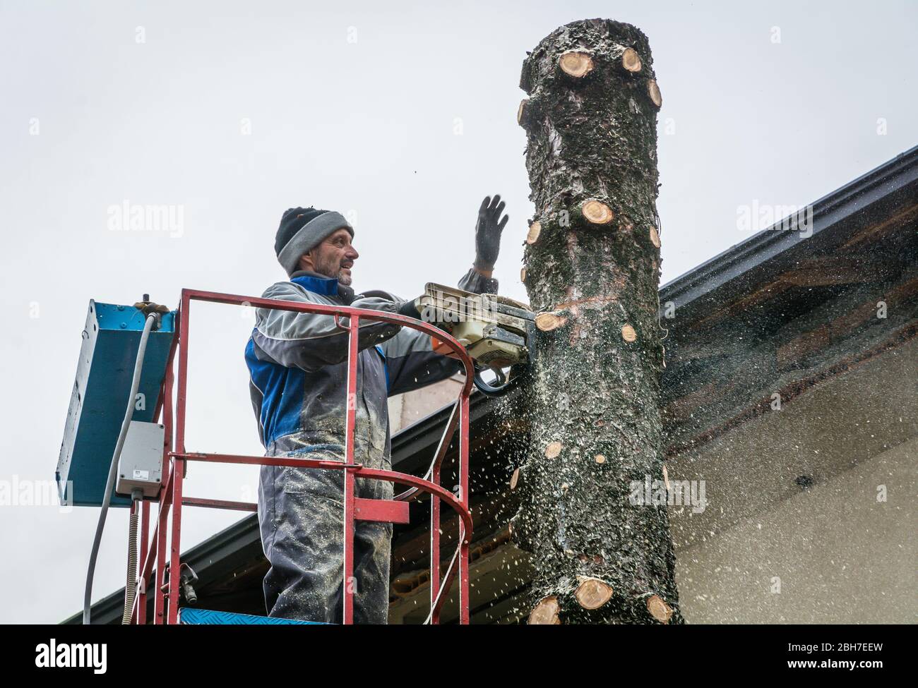 Workman using tree felling equipment hi-res stock photography and ...