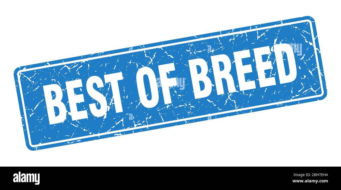 best of breed stamp. best of breed vintage blue label. Sign Stock ...