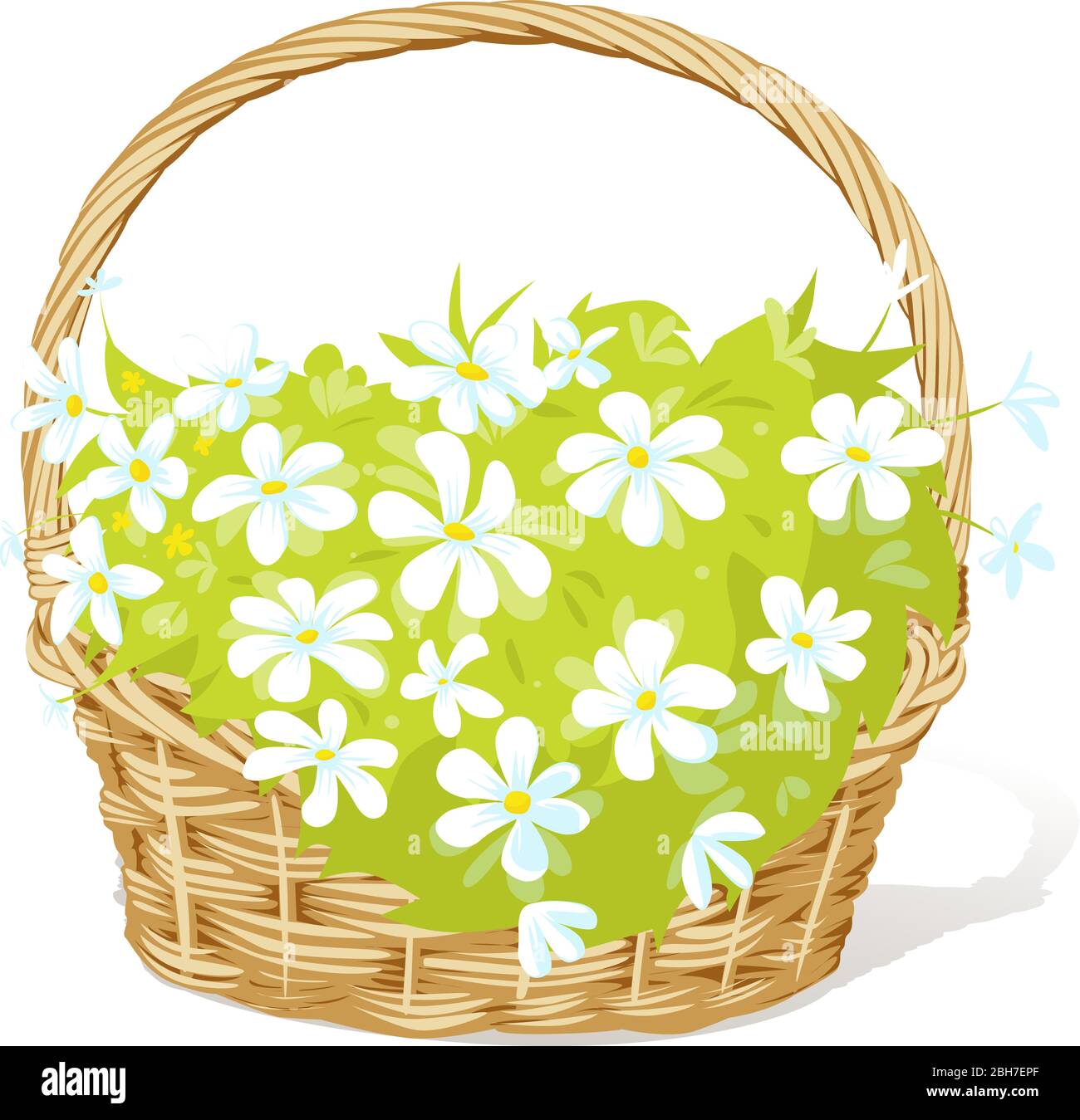 Spring Basket Full of White Fowers - Vector Illustration Stock Vector ...