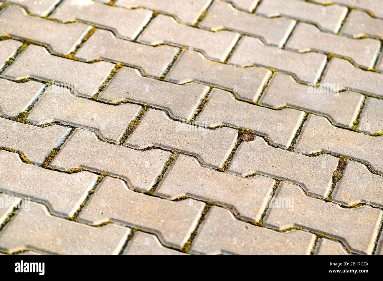 Concrete grid pavers hi-res stock photography and images - Alamy