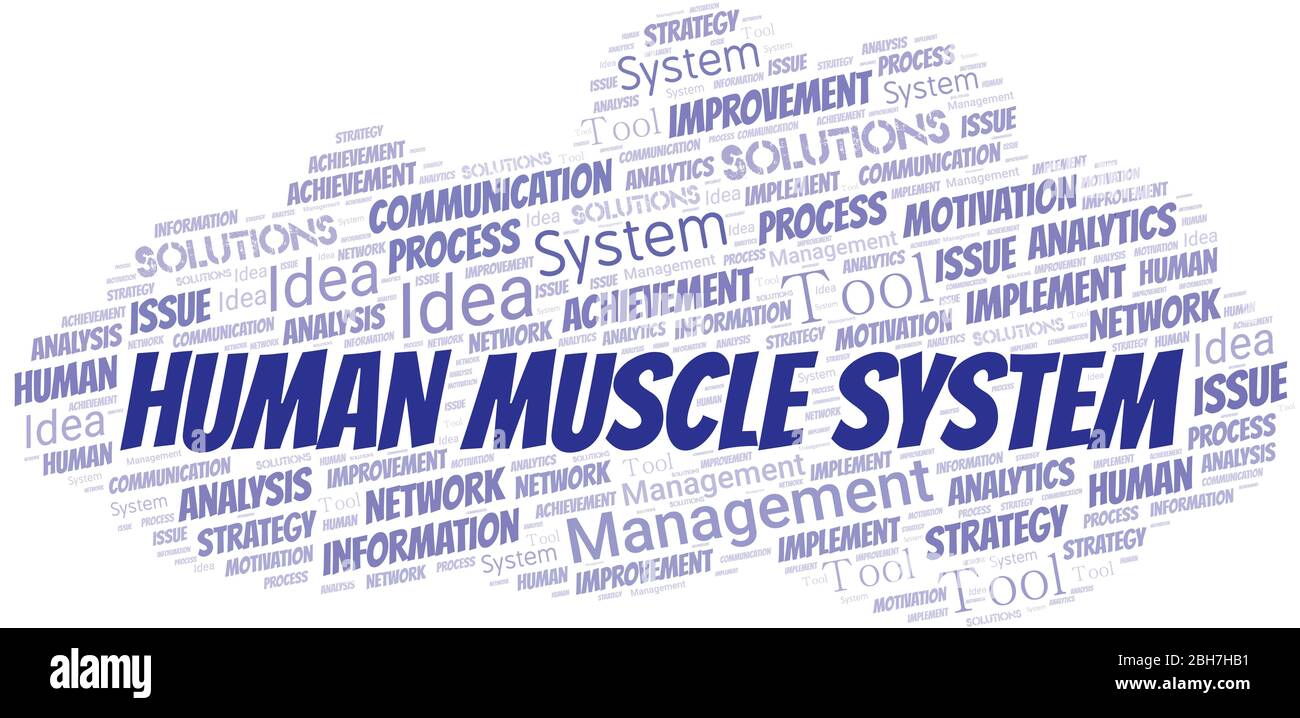 Human Muscle System typography vector word cloud. Wordcloud collage ...