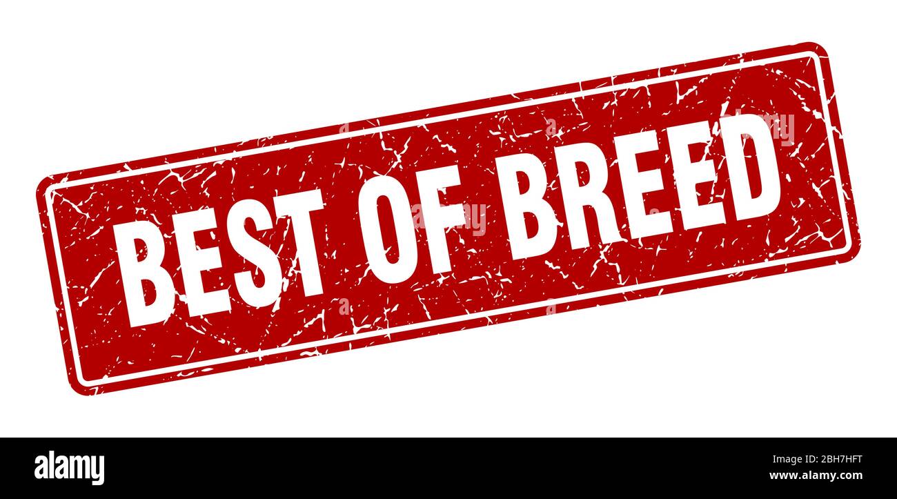 best of breed stamp. best of breed vintage red label. Sign Stock Vector ...