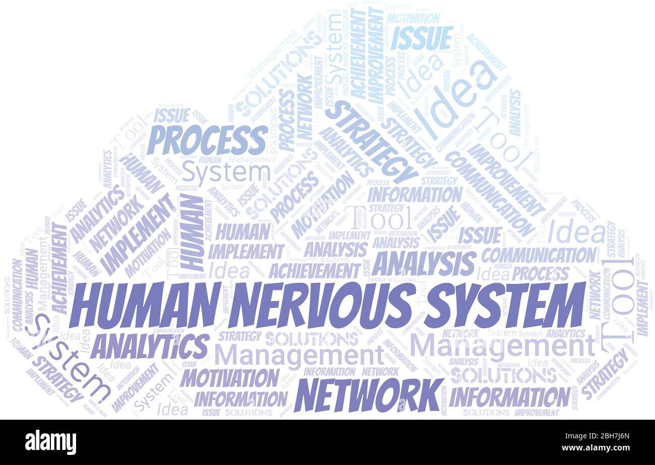 Human Nervous System typography vector word cloud. Wordcloud collage ...