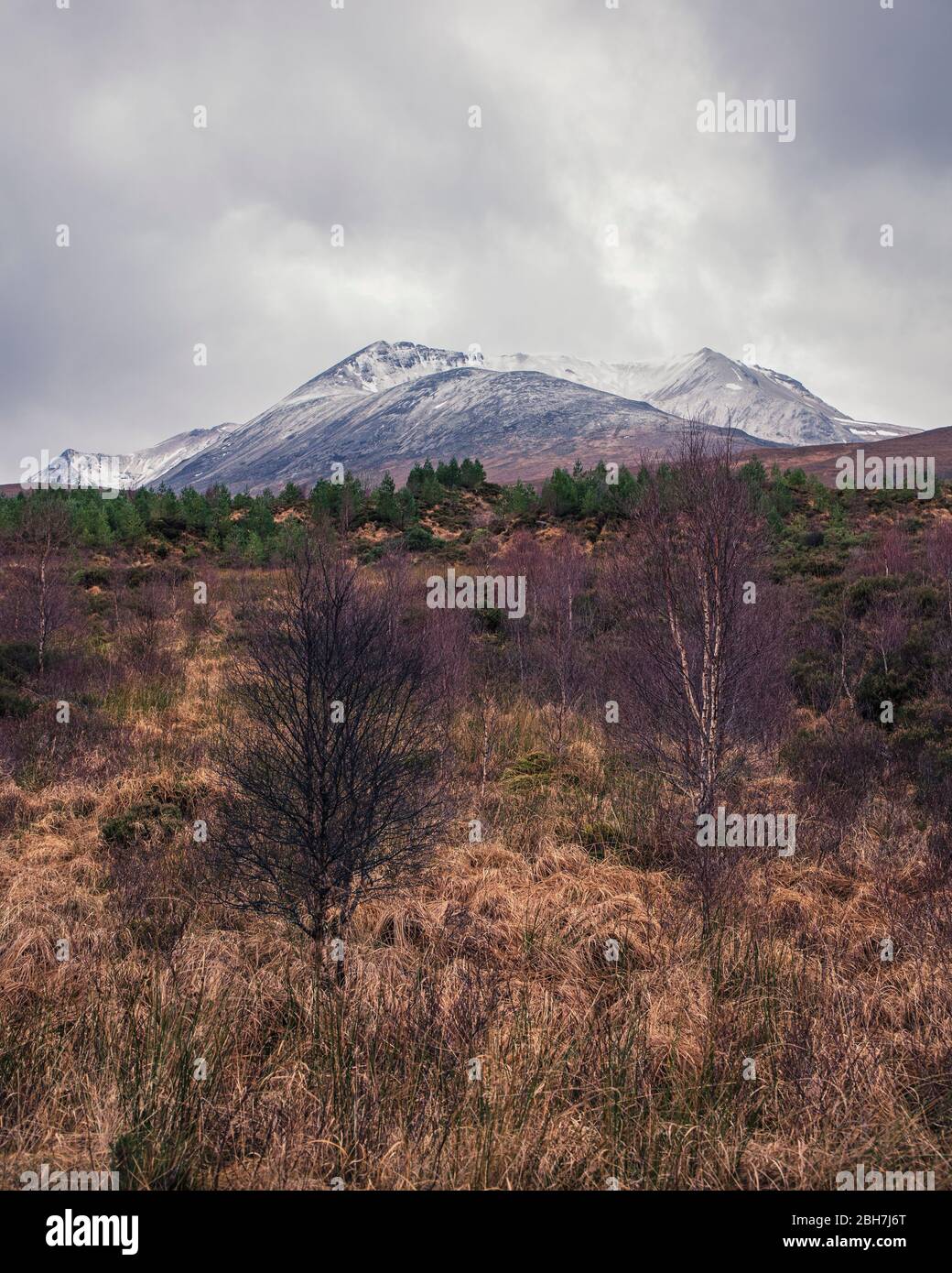 Scottish winter landscapes hi-res stock photography and images - Alamy