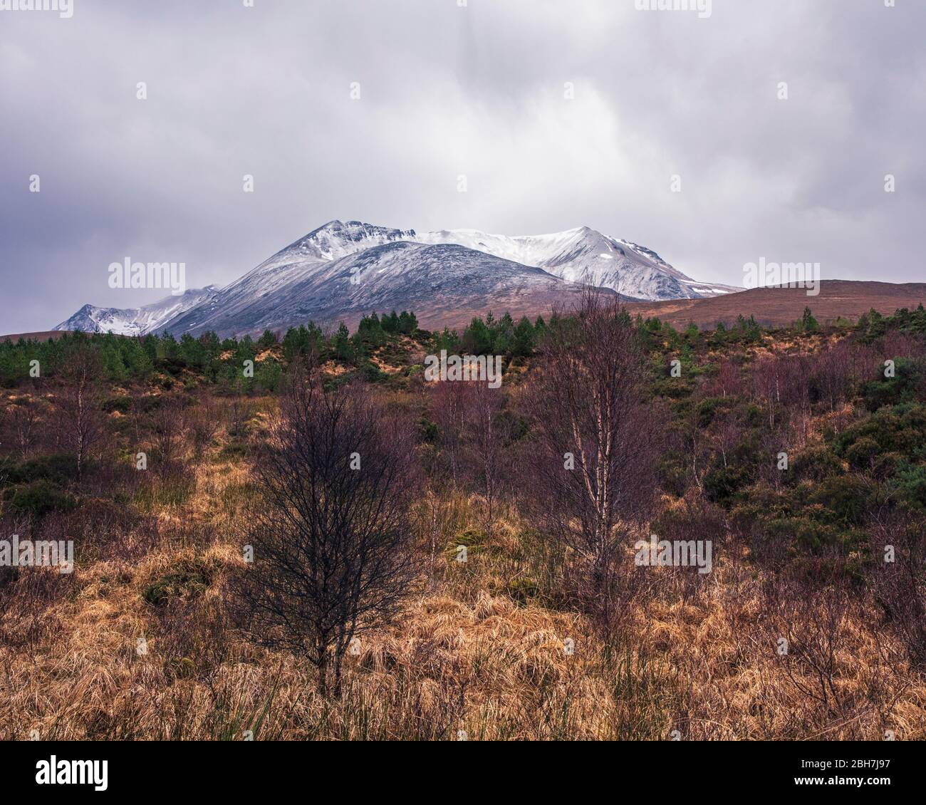 Scottish winter landscapes hi-res stock photography and images - Alamy