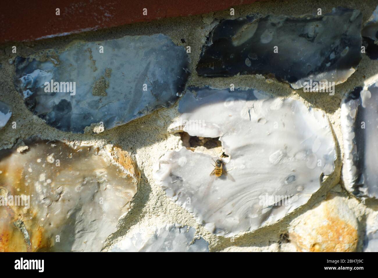 Damage cause to flint stone work on house by Masonry Bees also know as ...