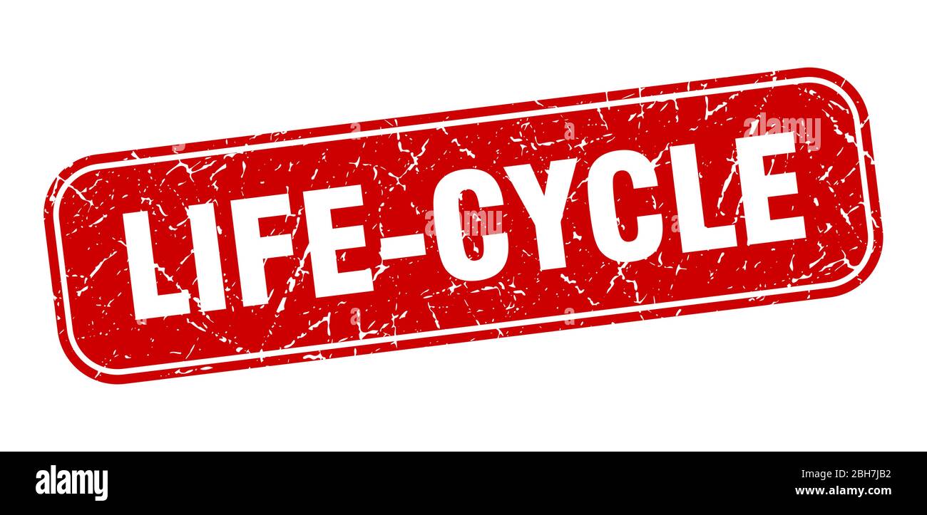 life-cycle stamp. life-cycle square grungy red sign Stock Vector Image ...