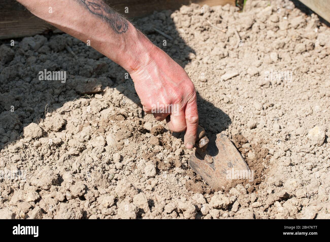 Dry soil sample hi-res stock photography and images - Alamy