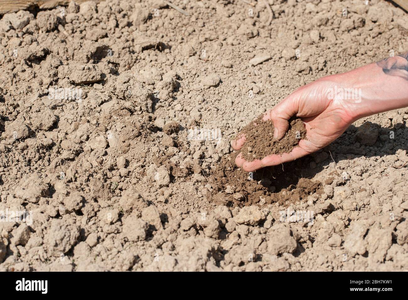 Prep the soil hi-res stock photography and images - Alamy