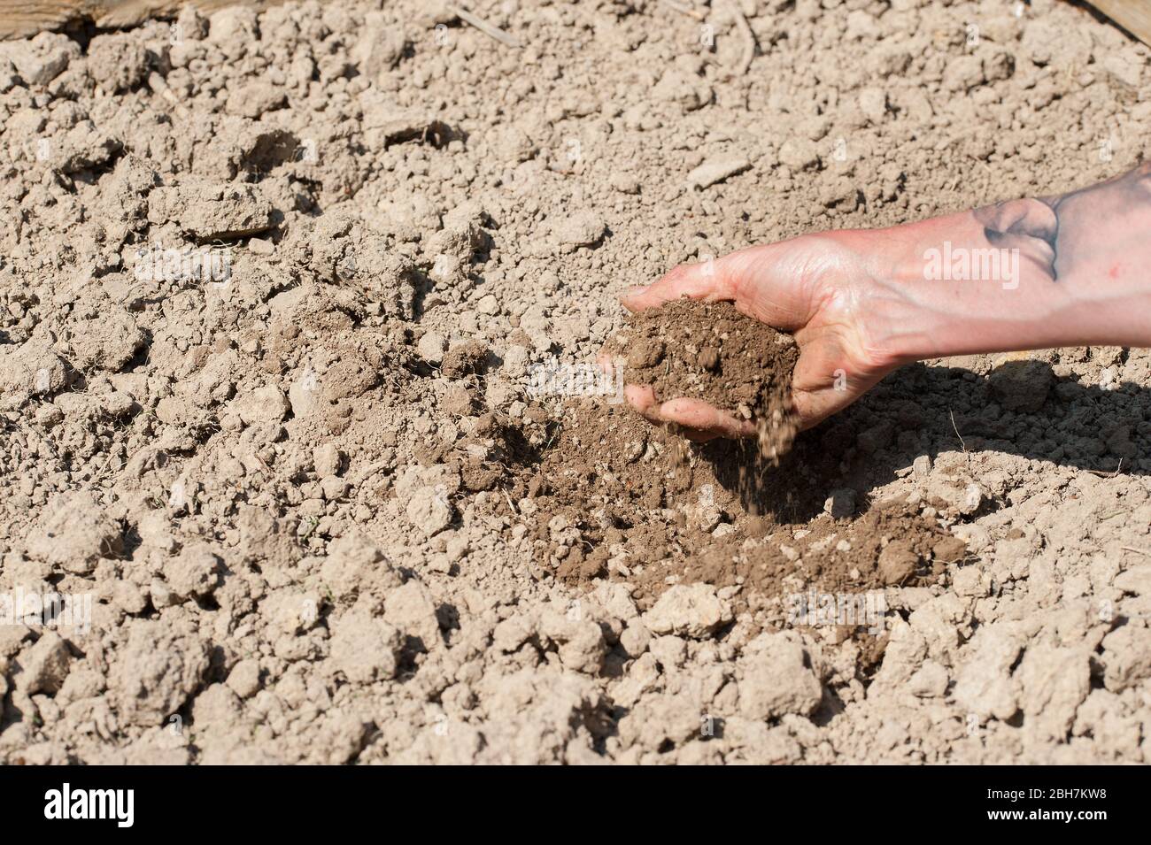 Prep the soil hi-res stock photography and images - Alamy