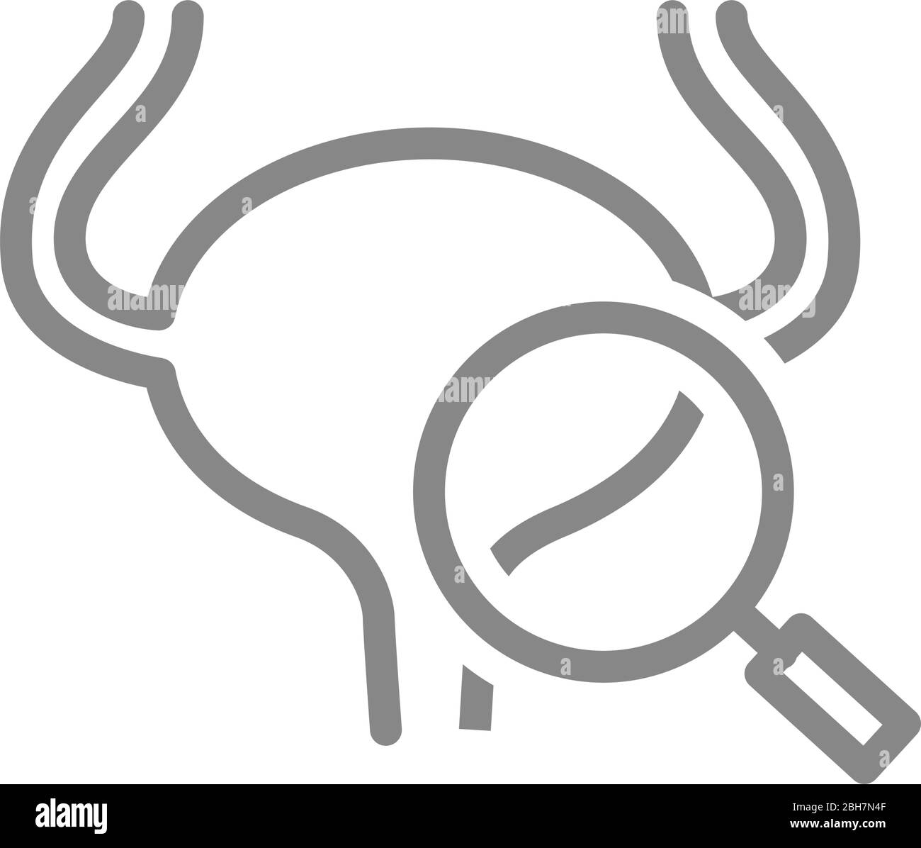 Urinary bladder with magnifying glass line icon. Human organ research ...