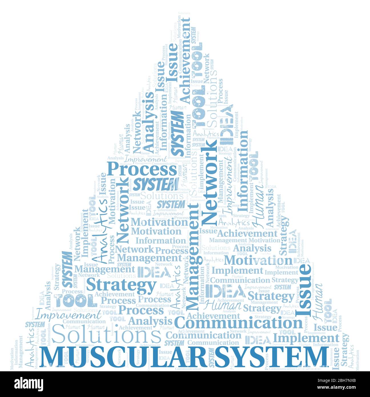 Muscular System typography vector word cloud. Wordcloud collage made ...