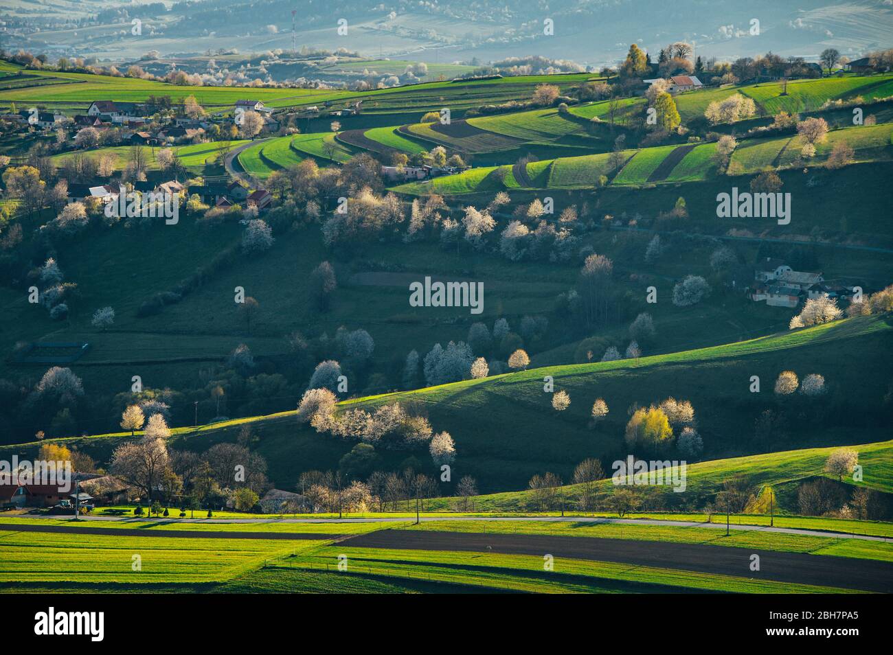 Spring time in beautiful agricultural landscape, green farm fields for ...