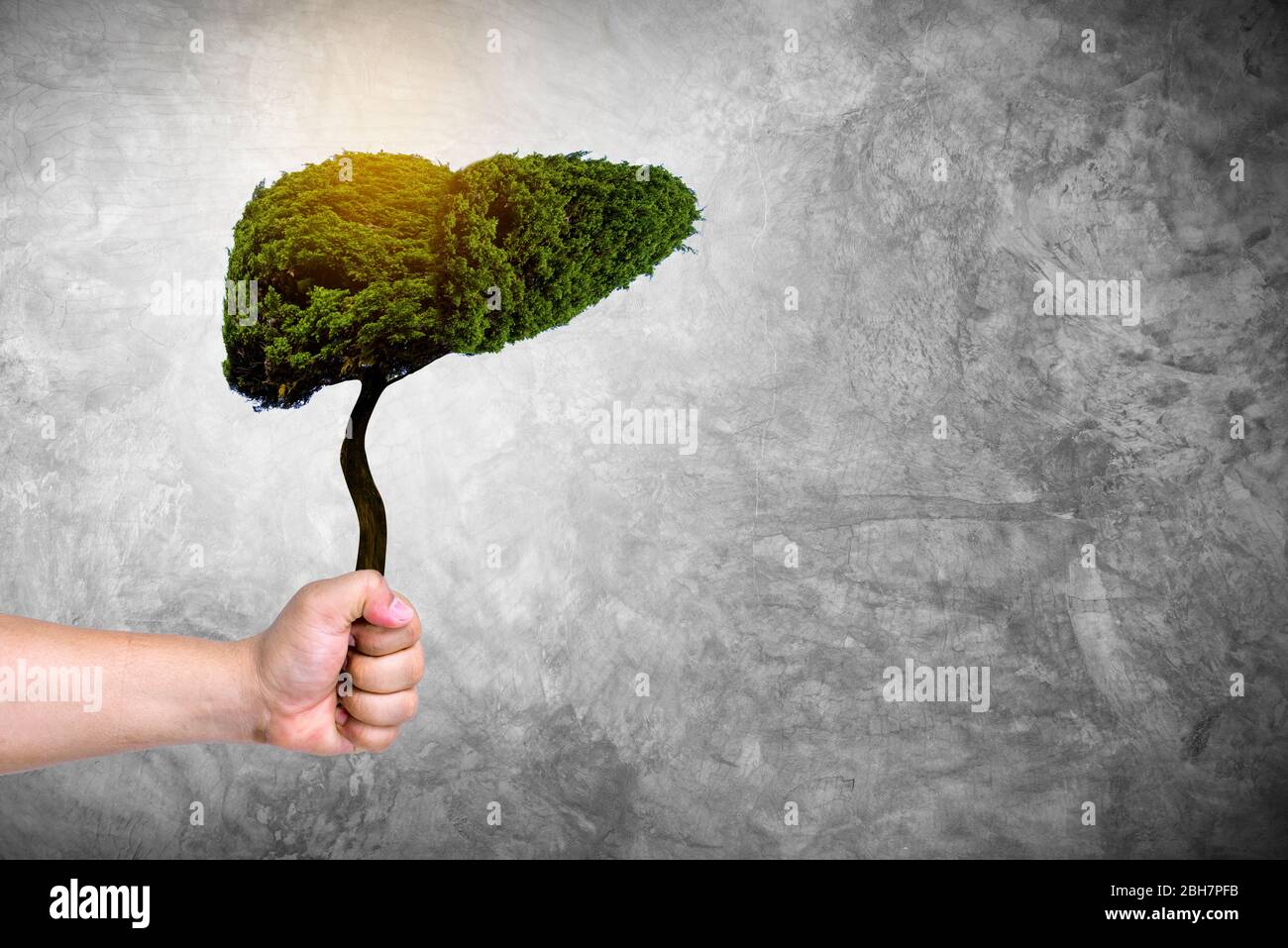 Illustration of a tree in the shape of a liver (environment and ...