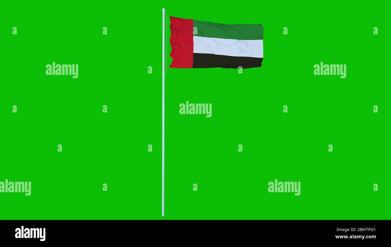 United Arab Emirates Flag Waving on wind on green screen or chroma key ...