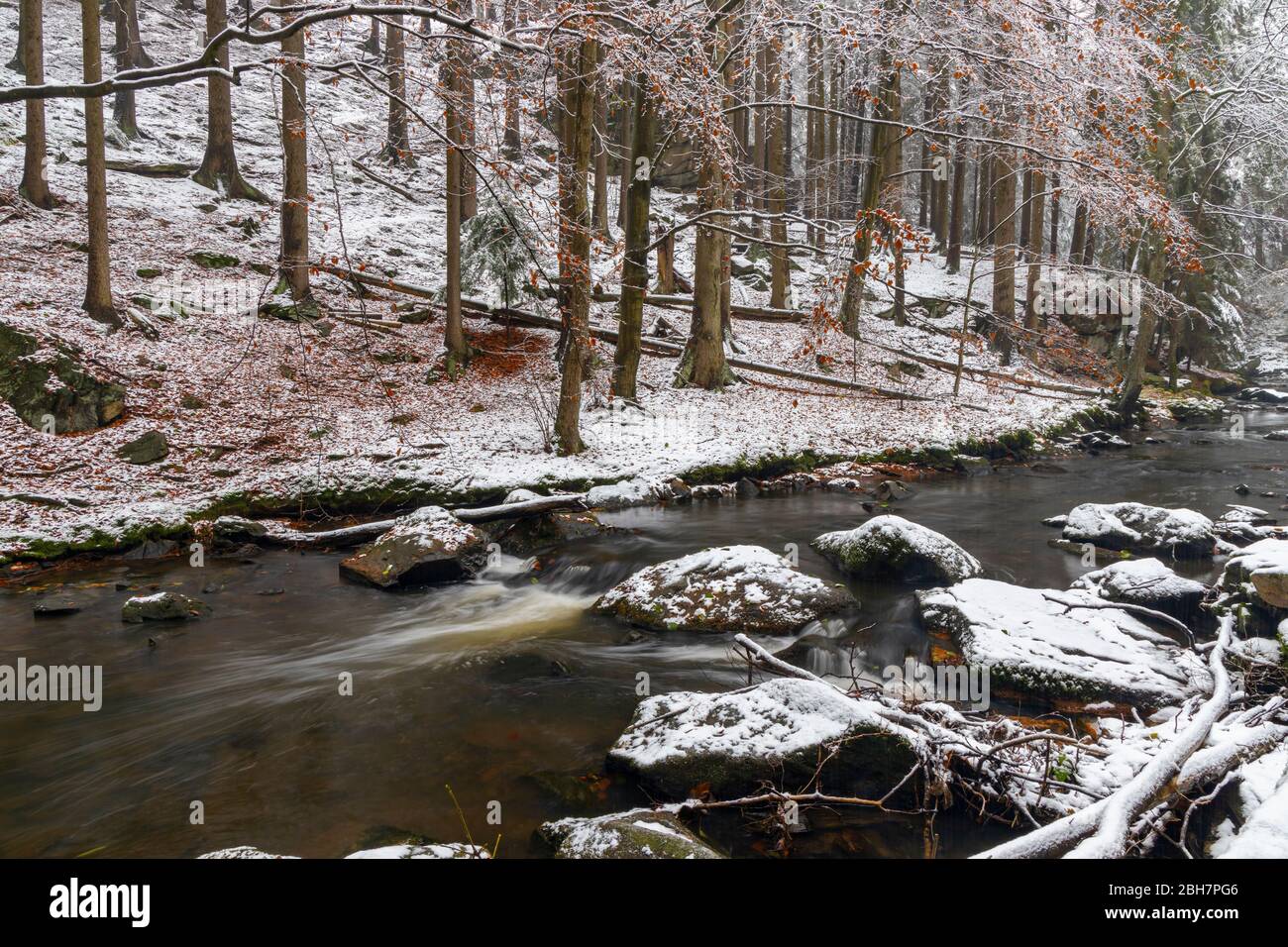 Valley Doubrava near Chotebor and Bilek. Bohemian-Moravian Highlands ...