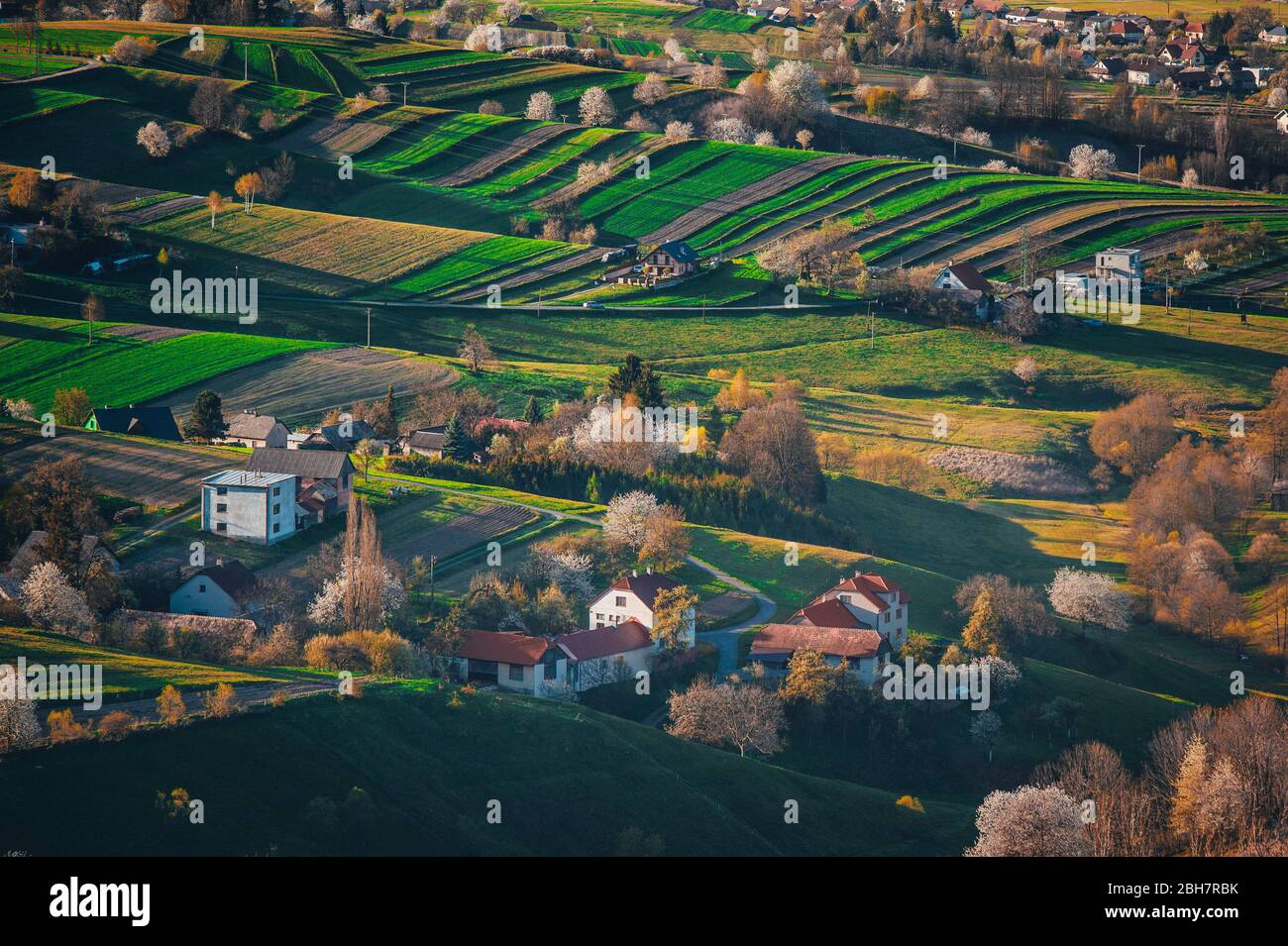 Spring time in beautiful agricultural landscape, green farm fields for ...