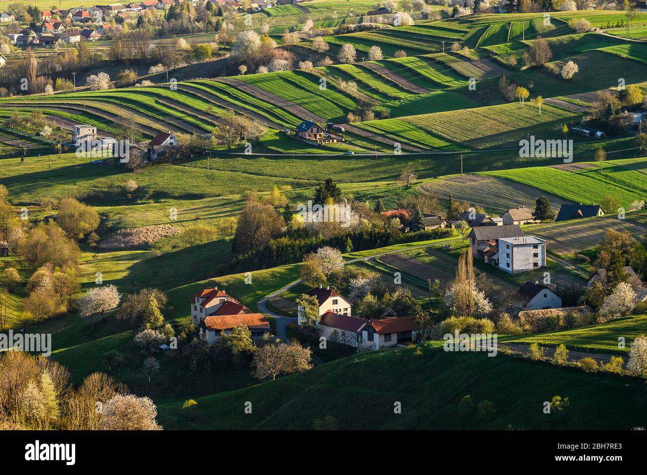 Glorious sunrise over grassy spring rural landscape Stock Photo - Alamy