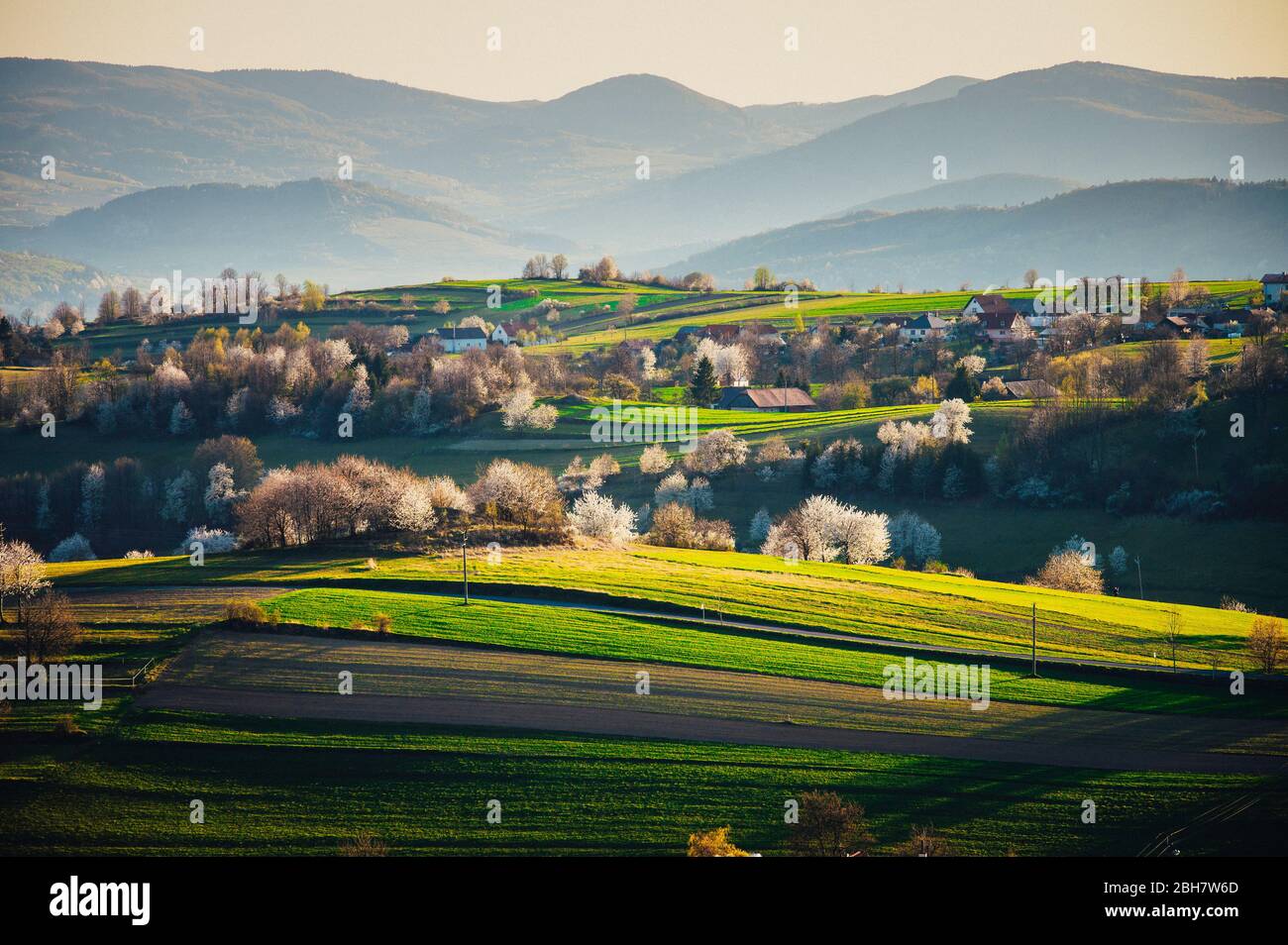 Spring time in beautiful agricultural landscape, green farm fields for ...