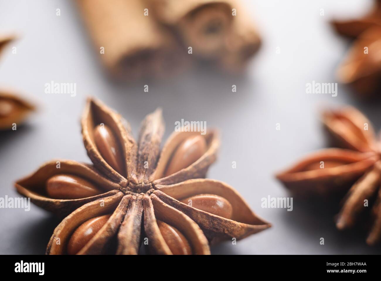 Anise tree hi-res stock photography and images - Alamy