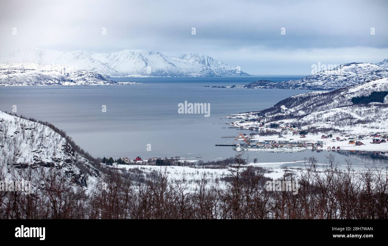 winter landscape with snowy birch trees in the tundra of northern ...