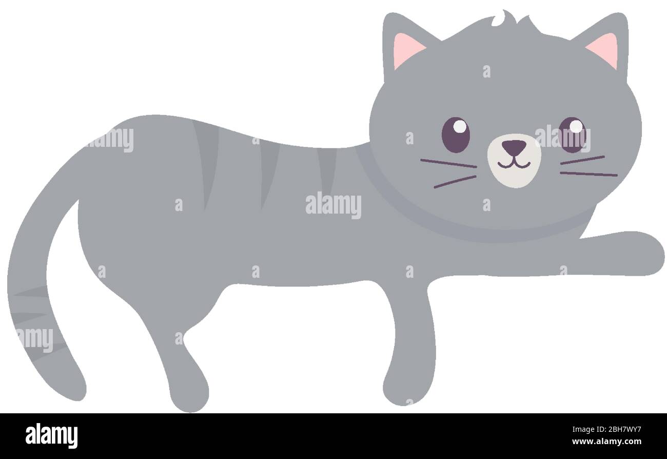 gray little cat pet isolated icon white background vector illustration ...
