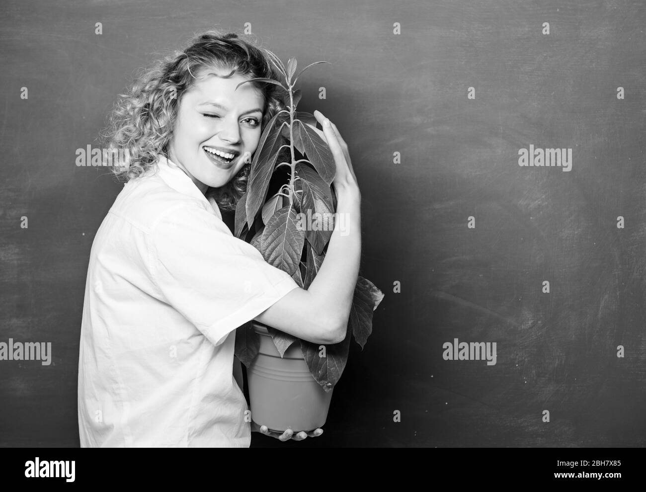 environmental education. tree of knowledge. school learning ecology ...