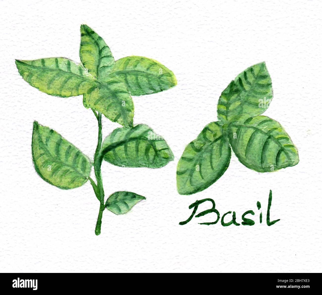 Watercoloring hi-res stock photography and images - Alamy