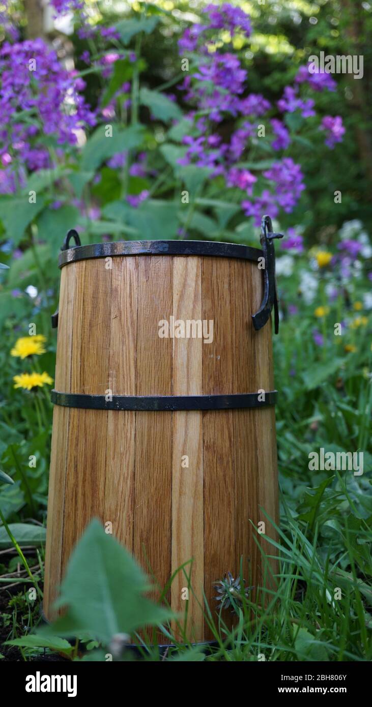 Anglo saxon designs hi-res stock photography and images - Alamy