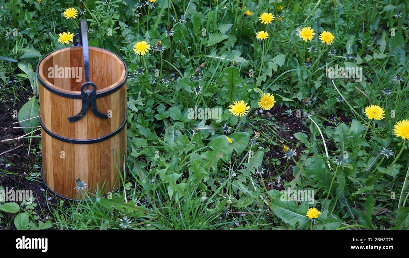Anglo-Saxon style banded bucket based on period designs, manufactured ...